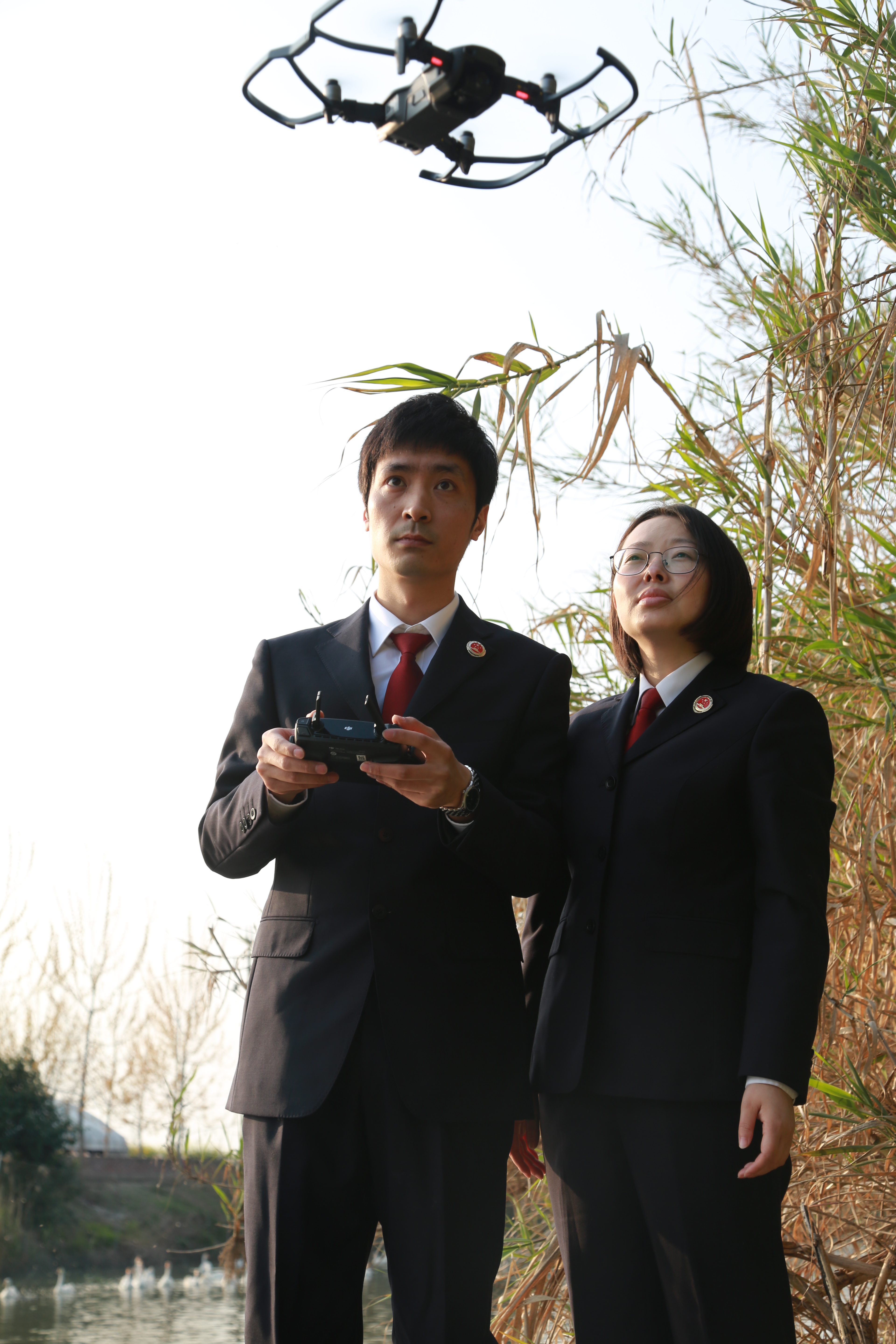 【摄影作品】无人机勘测野生麋鹿生活轨迹_盐城市大丰区人民检察院